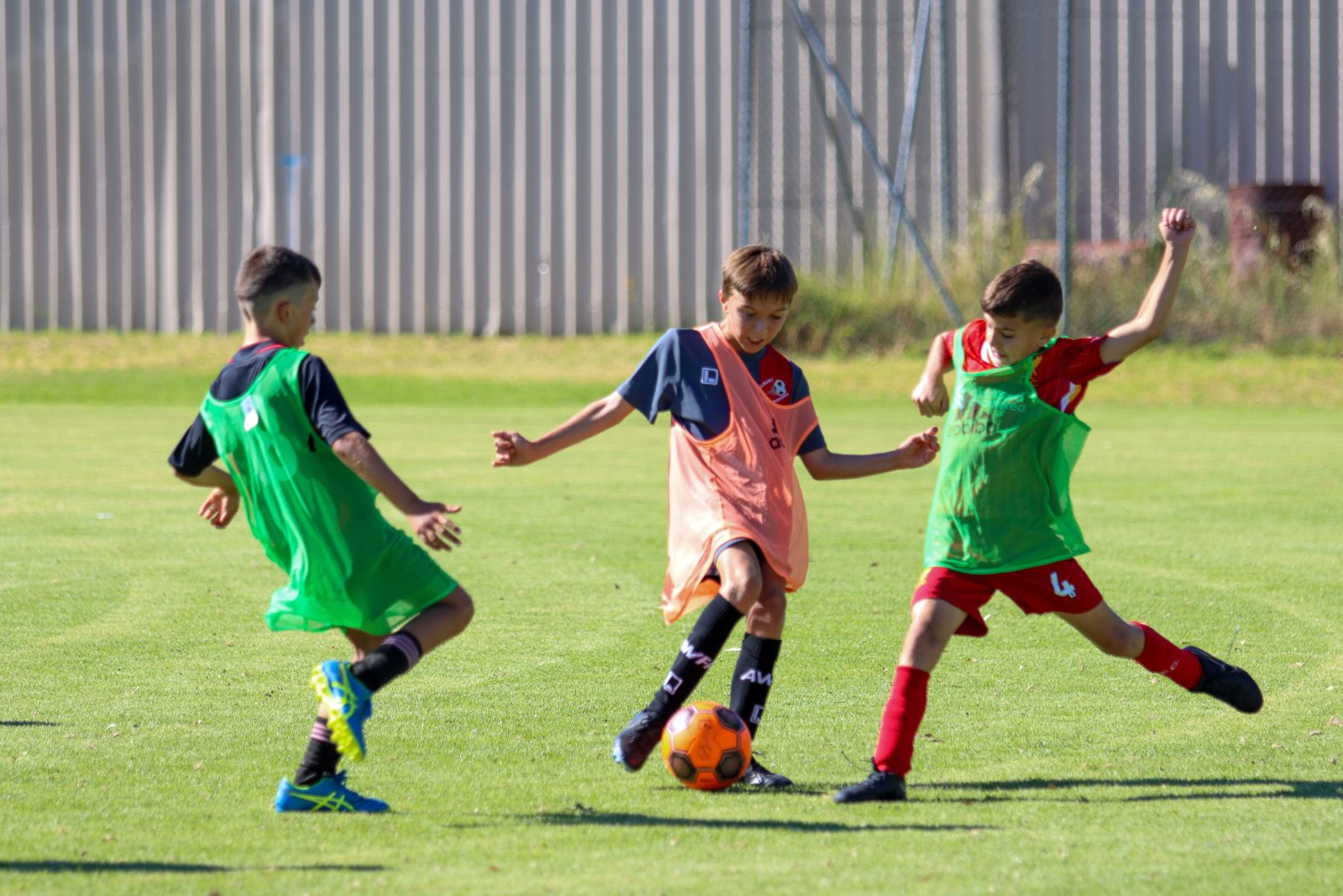 2025 Representative Teams – Albury Wodonga Football Association (AWFA)