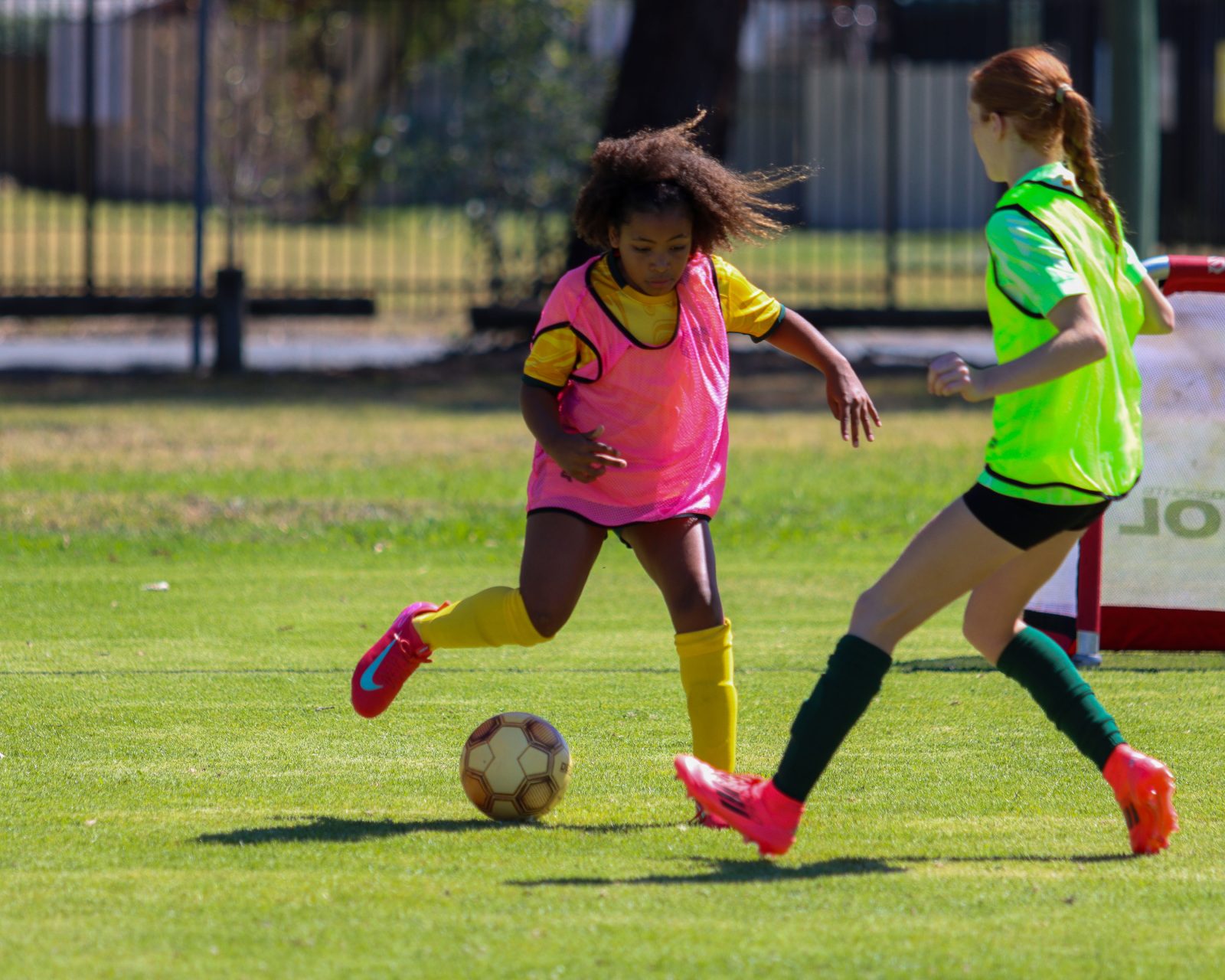 2025 Representative Teams – Albury Wodonga Football Association (AWFA)