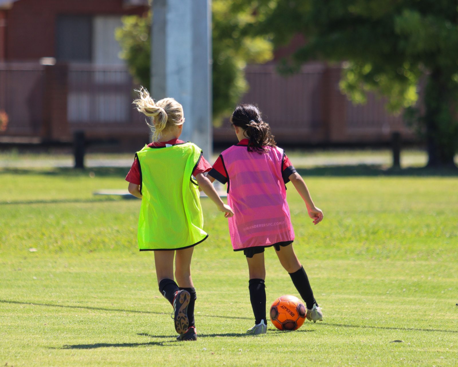 2025 Representative Teams – Albury Wodonga Football Association (AWFA)