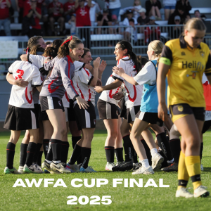 2025 AWFA Finals – Albury Wodonga Football Association (AWFA)